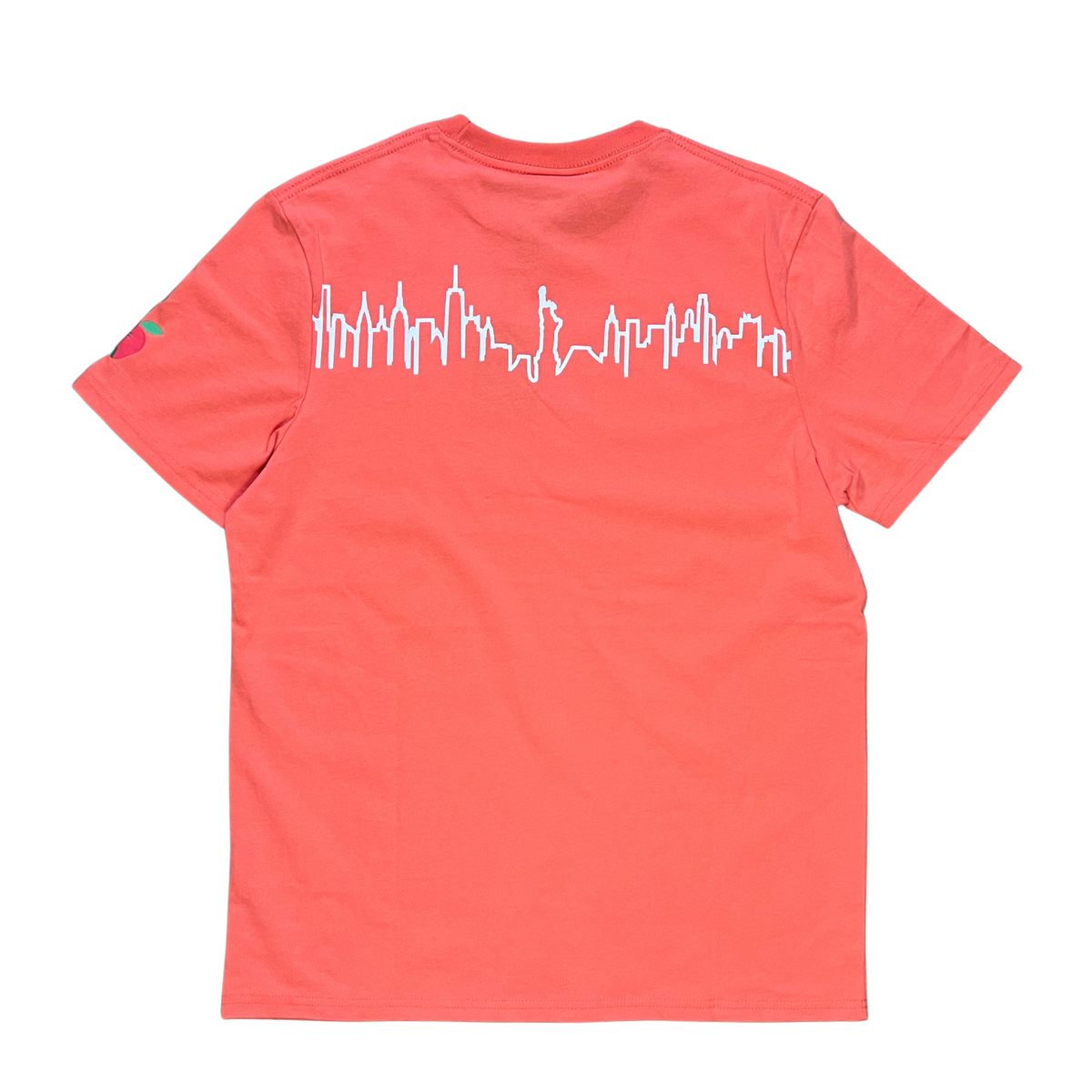 Salmon Skyline Tee – Pro Era